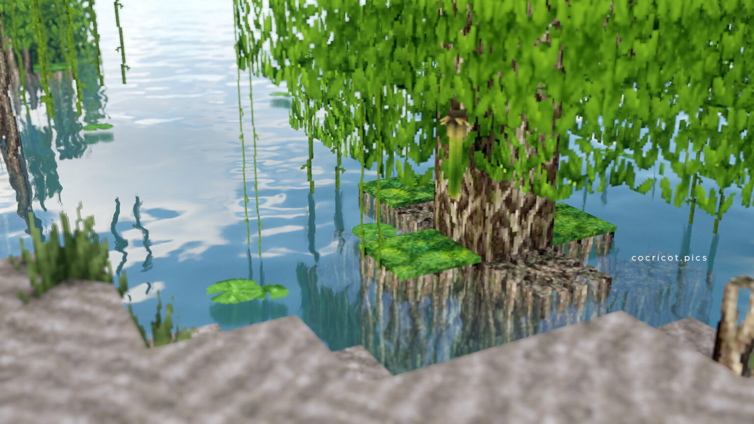 Beautiful mangrove swamp | Blog | cocricot - Minecraft Textures & Objects