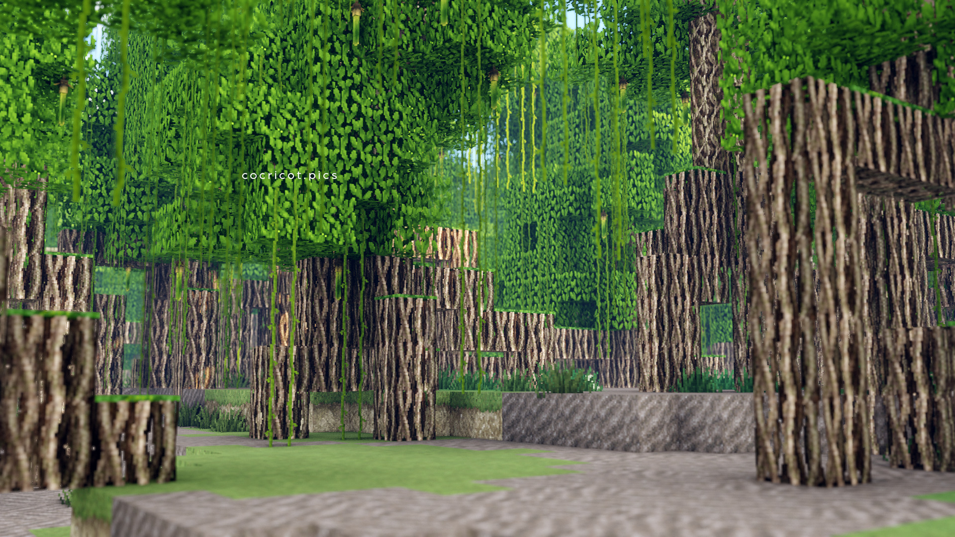 Beautiful mangrove swamp | Blog | cocricot - Minecraft Textures & Objects