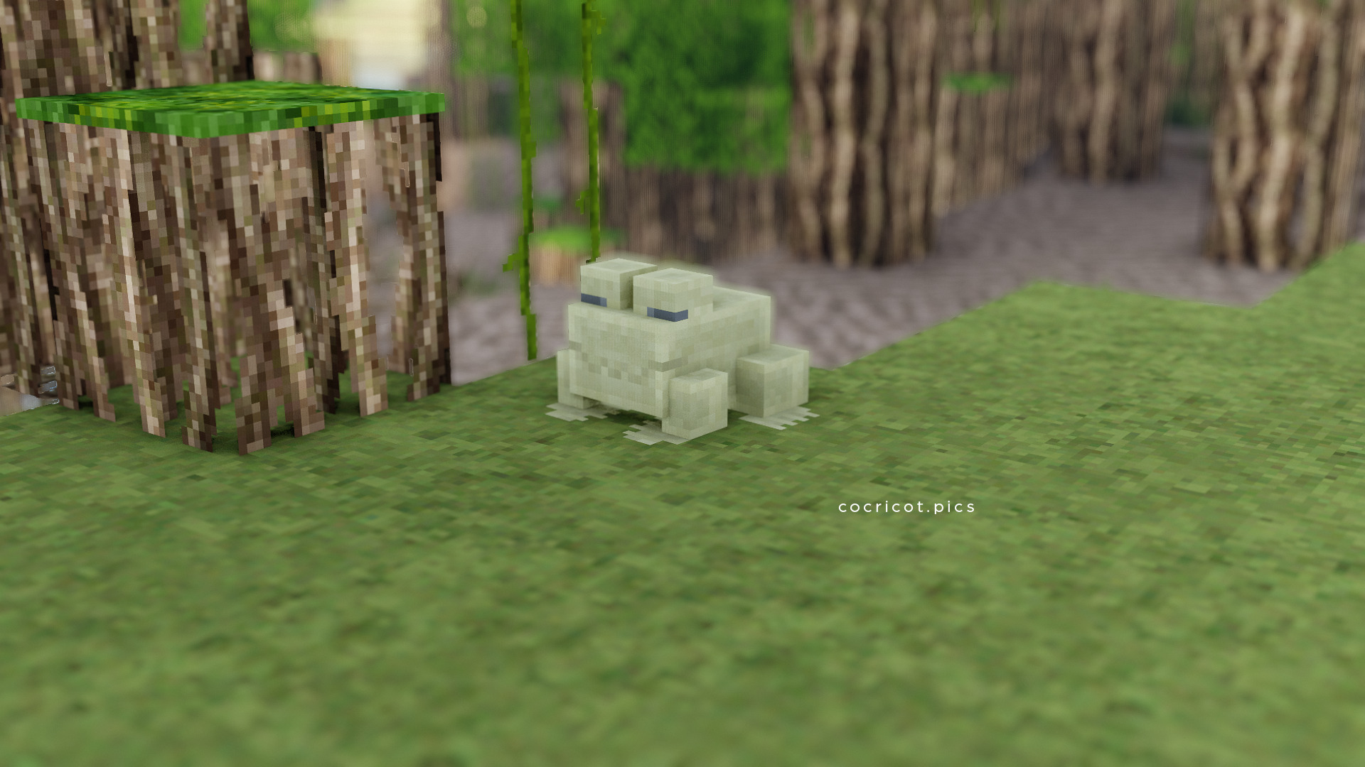 Beautiful mangrove swamp | Blog | cocricot - Minecraft Textures & Objects