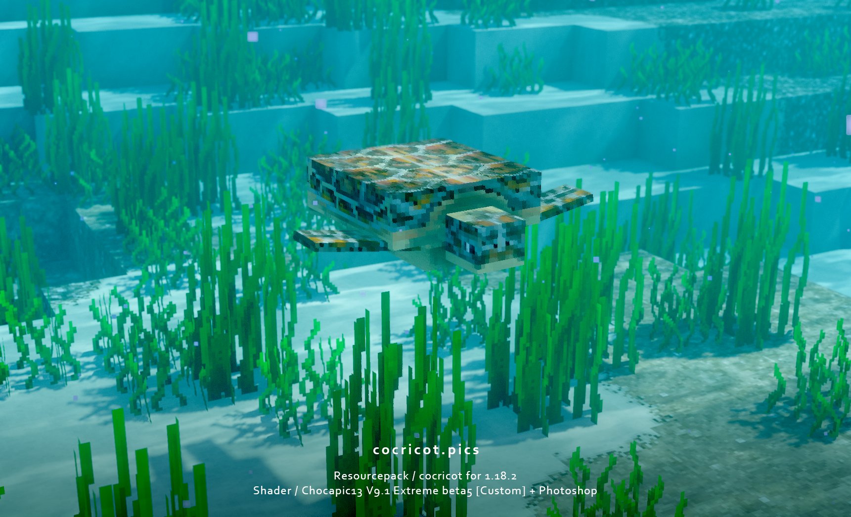 Turtles, Salmon and Seaweed | Blog | cocricot - Minecraft Textures ...