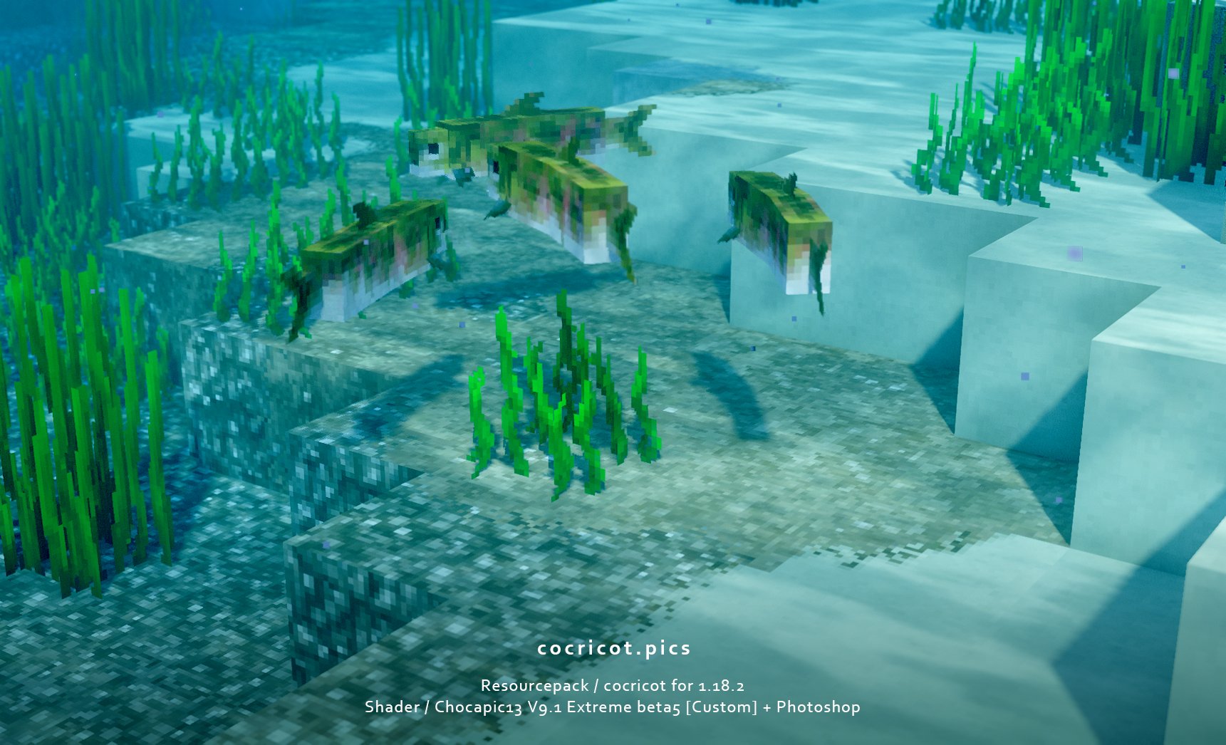 Turtles, Salmon and Seaweed | Blog | cocricot - Minecraft Textures ...