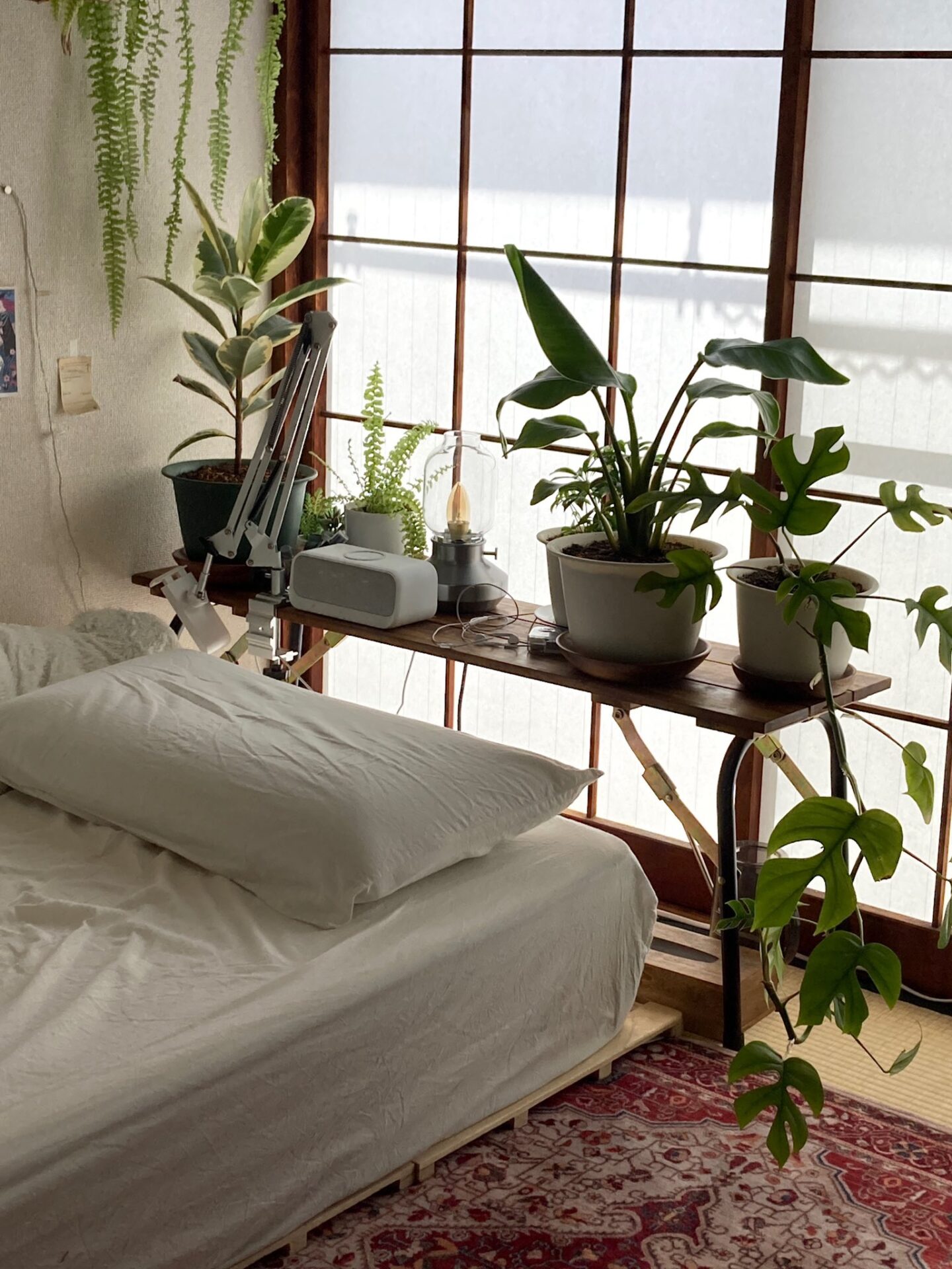 My bedside with the green leaning over it. | Blog | cocricot ...