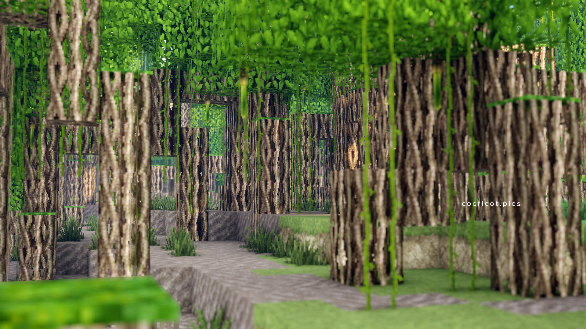 Version 1.19.3 of cocricot has been released! | Blog | cocricot ...