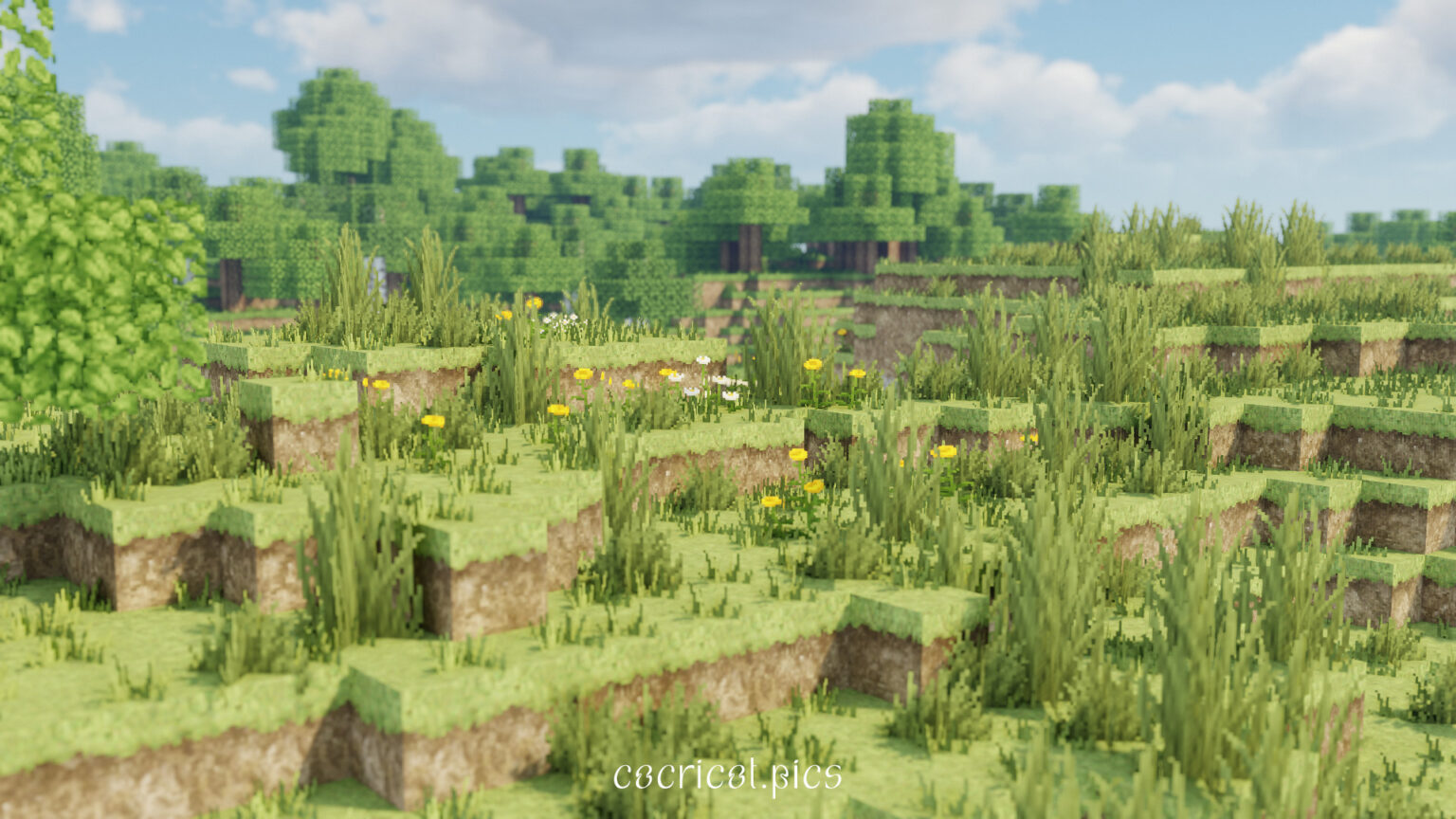 cocricotの1.19.3版をリリースしました！ | Blog | cocricot - Minecraft Textures & Objects