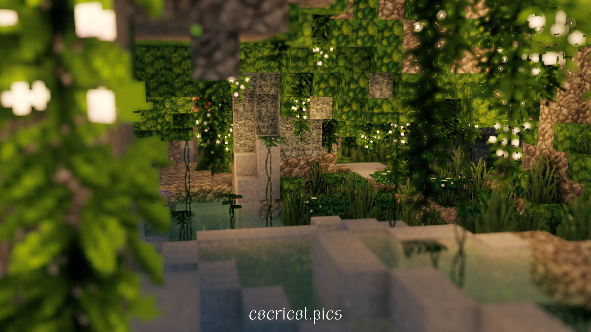 Version 1.19.3 of cocricot has been released! | Blog | cocricot ...