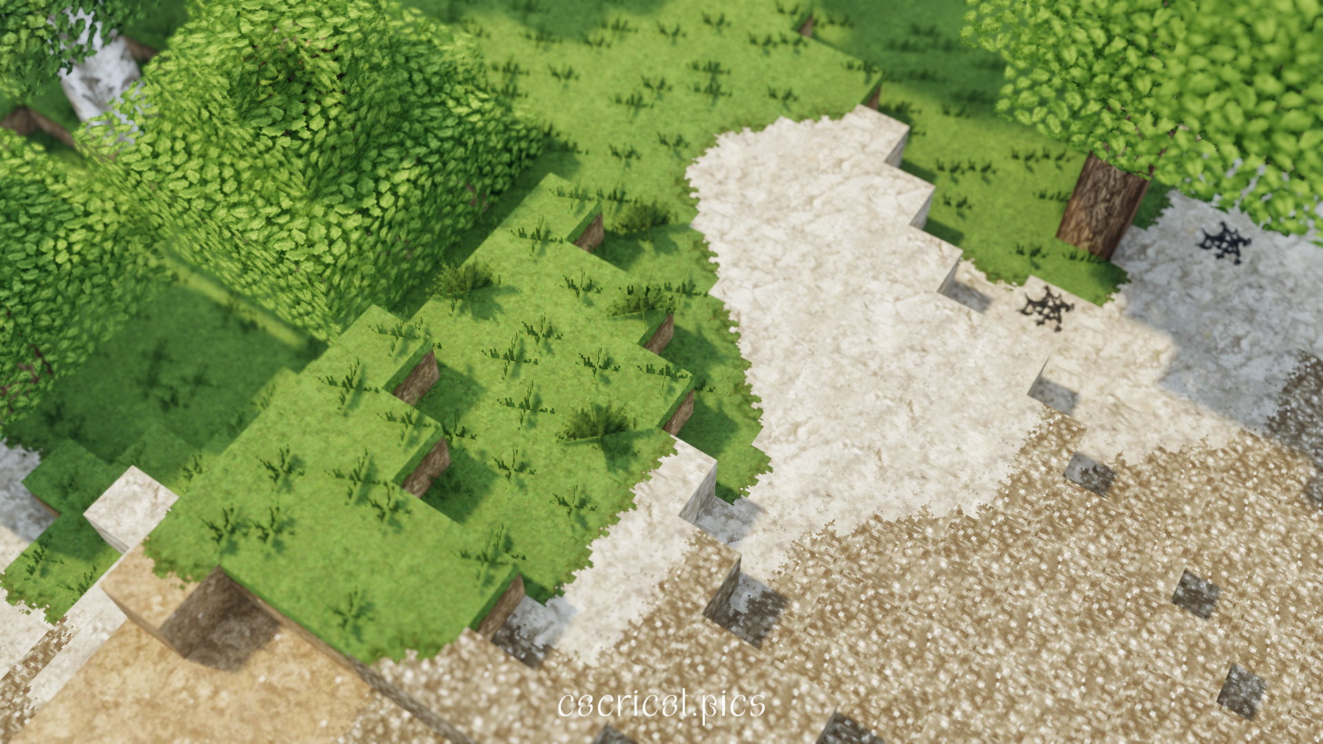 Version 1.19.3 of cocricot has been released! | Blog | cocricot ...