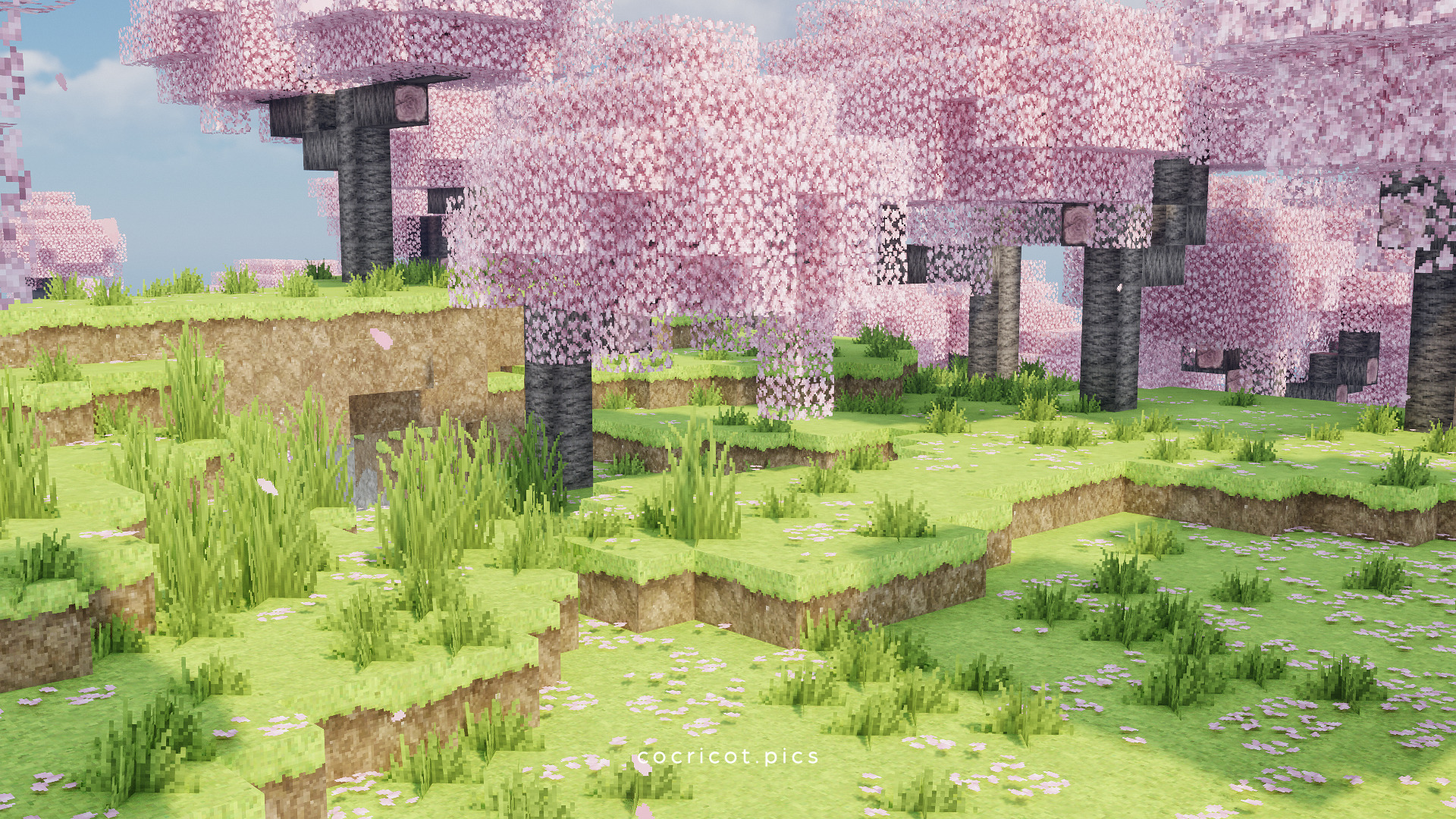 1.20 resource packs are now available for download! | Blog | cocricot ...